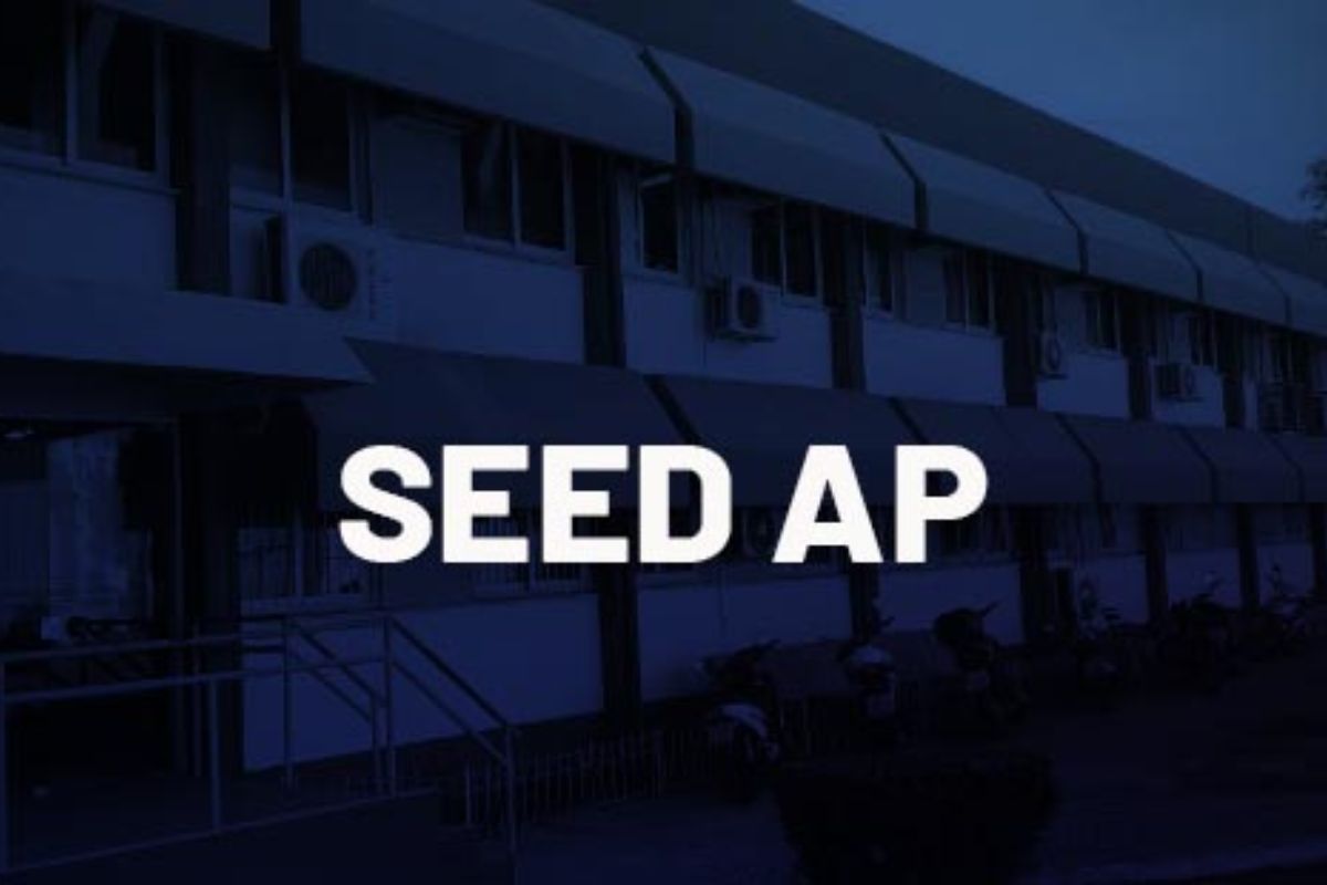🚨 Tudo que você PRECISA saber sobre o novo concurso SEED AP! 🚨